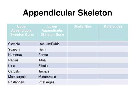 Ppt Appendicular Skeleton Powerpoint Presentation Free Download Id 1825804