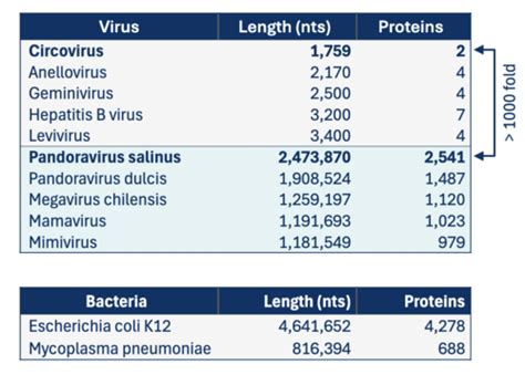 Intro Baltimore Classification System Flashcards Quizlet