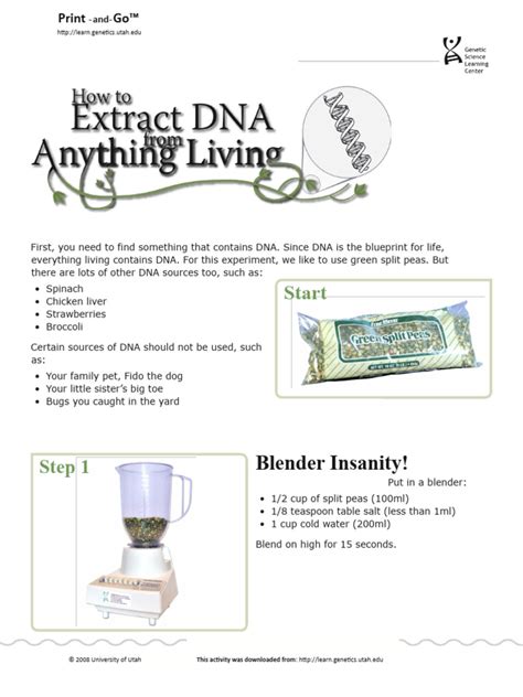 Dna Extraction Pdf Ethanol