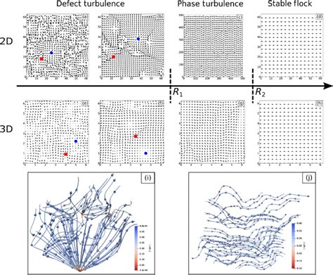 Increasing Interdefect Distance As A Function Of R Order Parameter