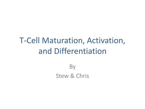 Ppt T Cell Maturation Activation And Differentiation Powerpoint