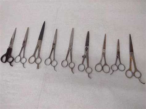 Assorted Barbersalon Scissors Choice A