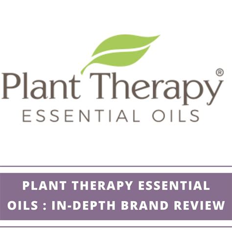 Plant Therapy Essential Oils Review Aromatherapy Anywhere