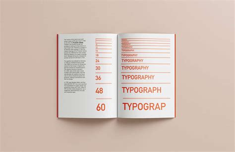 Din Booklet By Ruotong Cui Sva Design