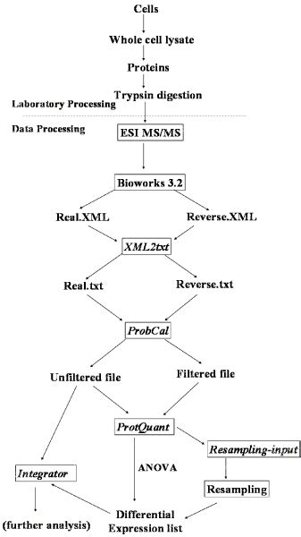 Proteomics Data Analysis Workflow Download Scientific Diagram