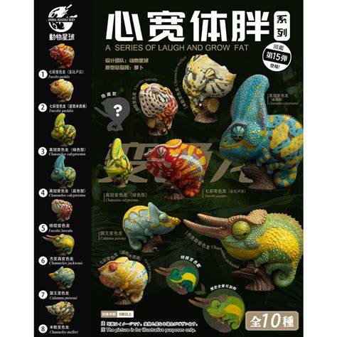 那間模型 動物星球 心寬體胖 第15彈 變色龍 爬蟲類 盒玩 仿真 模型 公仔 蝦皮購物
