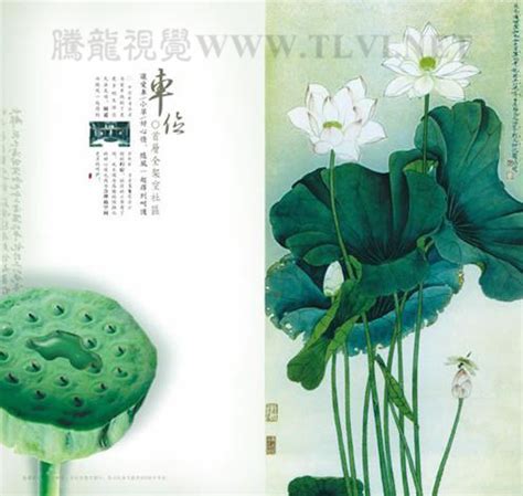 印刷工艺中的出血详解 设计在线