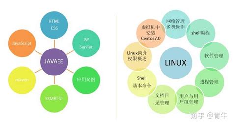 大数据开发要学什么java还是python? 知乎 大数据开发要学什么java还是python? 知乎