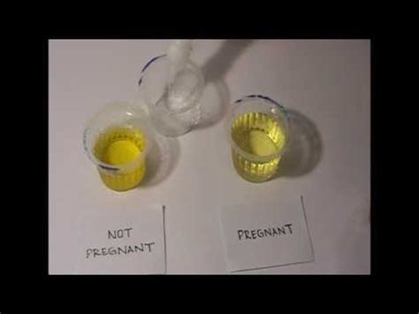 Home Pregnancy Test With Vinegar YouTube