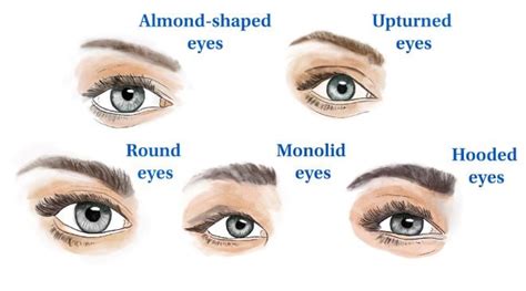 Celebrities With Almond Shaped Eyes