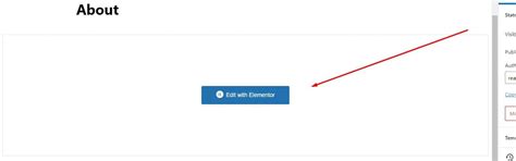 Elementor Widget Reacthemes