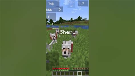 Sharu Minecraft Youtube