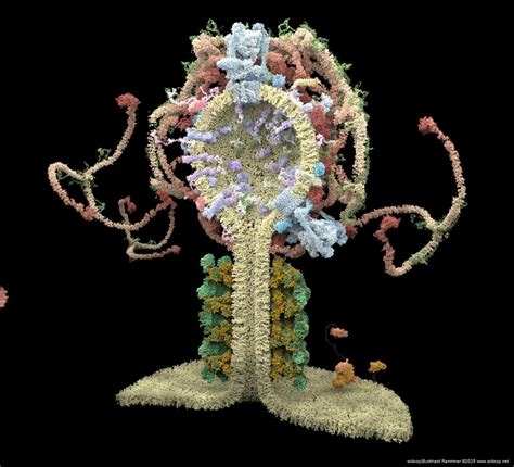 Visualizations Sciloop