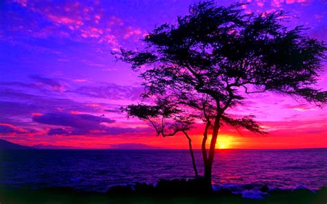 Beautiful Sunset Sunset Wallpapers Nature Wallpapers