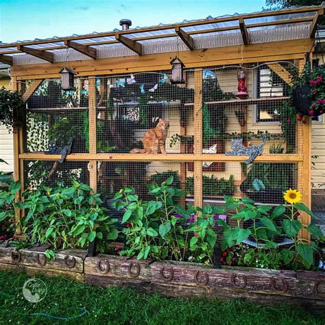Best Rated Catio At Lynne Griffin Blog