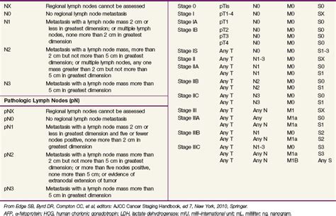 Testicular Cancer Lymph Nodes