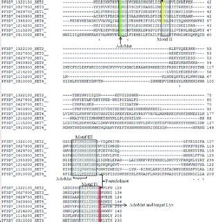 Multiple Sequence Alignment Of Pfset Domain Sequences Highlighting