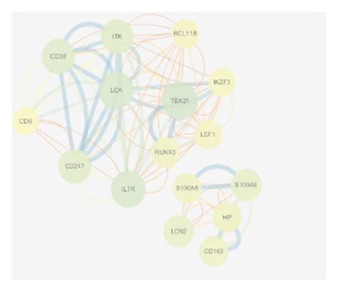 The Protein Protein Interaction Ppi Networks Based On The Screened