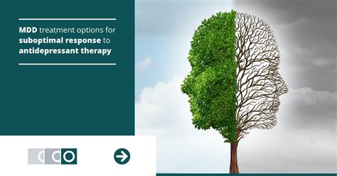Clinical Care Options On Linkedin Mdd Treatment Augment Or Switch