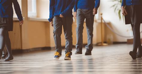 Sharp Division Over Teaching Of Gender Identity And Use Of Pronouns In Updated Sex Education