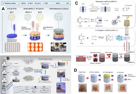 Examples Of Scaffold Designs Incorporating Growth Factors And Or Cells Download Scientific