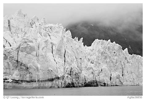 Black And White Picture Photo Front Of Margerie Glacier In Foggy