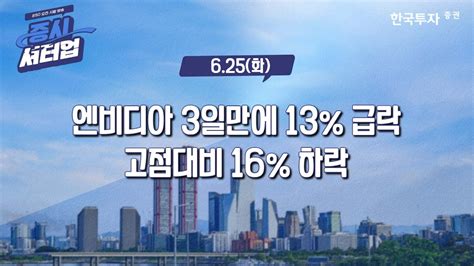 0625증시셔터업 엔비디아 엔비디아 3일만에 13 급락 고점대비 16 하락 대포차 리가켐바이오 에스비비테크
