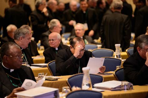 Vatican Asks Us Bishops Not To Vote On Their Proposals To Tackle