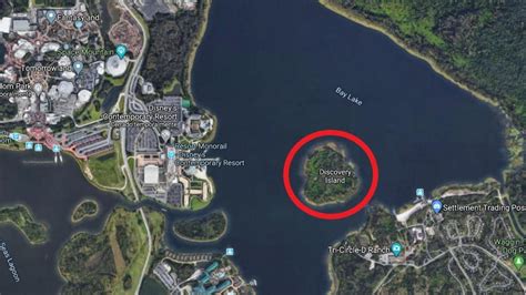 Se Coló En Disney World Y Pasó La Cuarentena Acampando En Una