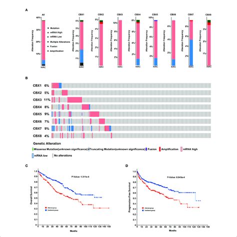 Genetic Alteration In Cbxs And Their Relationship With Os And Dfs Of