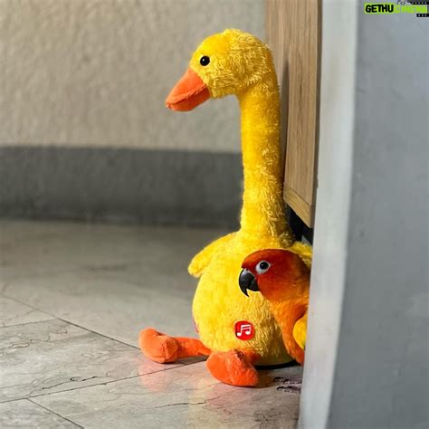 Alessandra De Rossi Instagram Guys Im A Namamasko Also Send Gcash