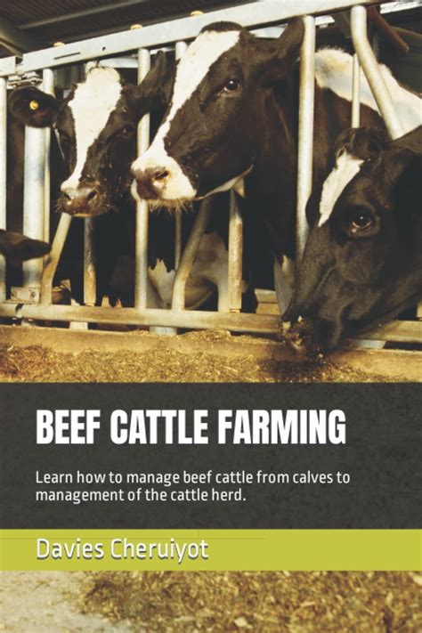 Buy Beef Cattle Farming Learn How To Manage Beef Cattle From Calves To Management Of The Cattle