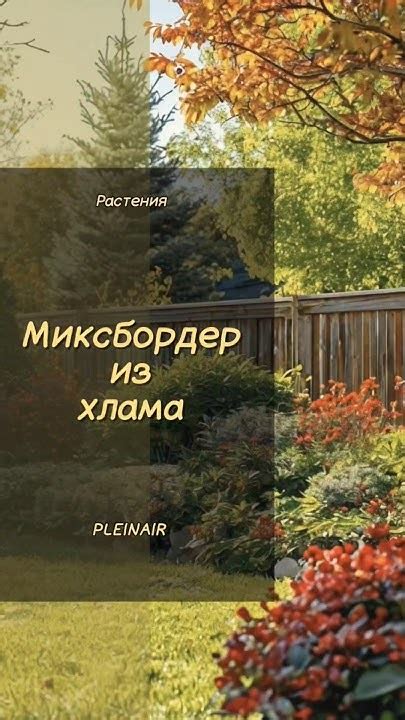 Ненужные растения ландшафтныйдизайн дача сад загородныйдом огород Youtube