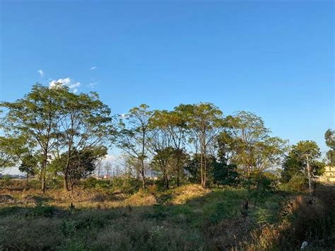 杜月笙临死前烧掉所有欠条，家人反对，他怒吼：我这是救你们的命上海滩人们棺材