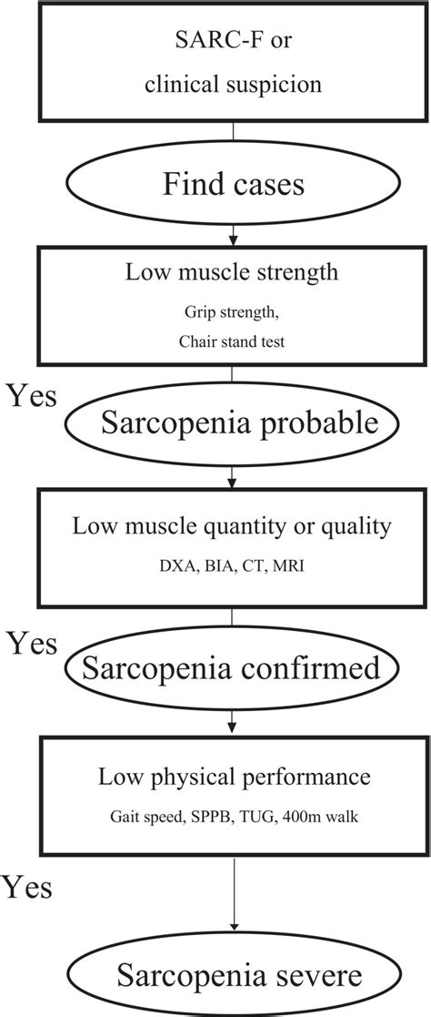 The Roles Of Sex Hormones In The Pathophysiology Of Age‐related