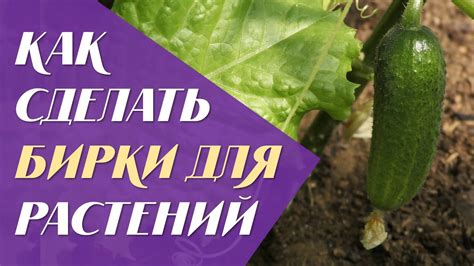 Как сделать бирки для растений, быстро и просто - YouTube