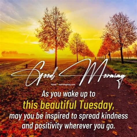 280 Tuesday Good Morning Blessings Quotes And Images Goodmorningmsg