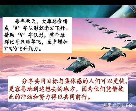 如何做好团队管理？ 知乎
