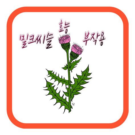 밀크씨슬 밀크시슬 효능 부작용 같이 먹으면 안되는 것 알아보러가기