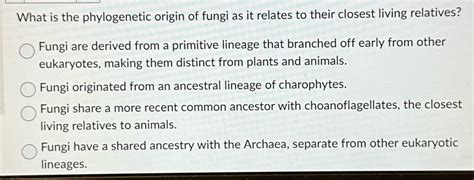 Solved What Is The Phylogenetic Origin Of Fungi As It Relates To Their