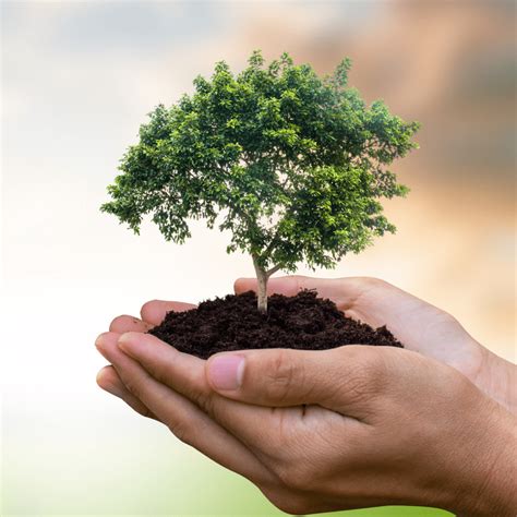 Compromisso Com A Sustentabilidade Assinatura Do Manifesto Esg