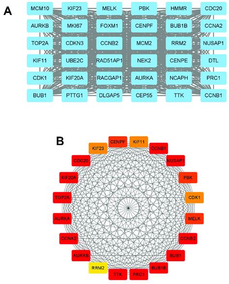 Sub Module Analysis Of Ppi Network A Sub Module Network Analyzed By Download Scientific