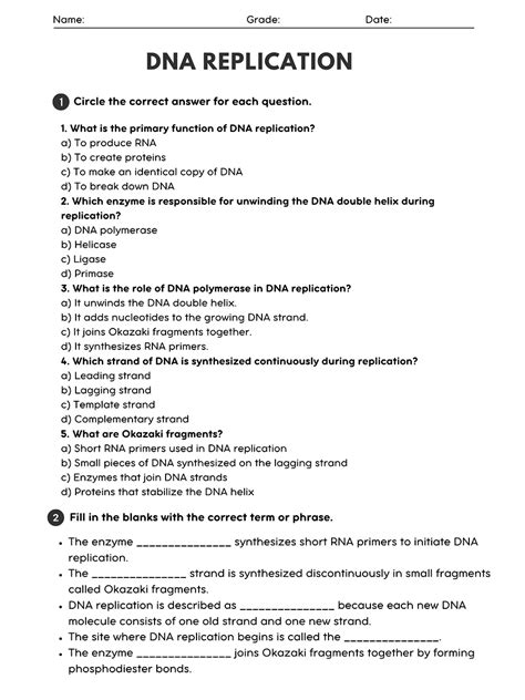 Biology Dna Replication Worksheet Printable Pdf With Answer Key Learn Prints The Learning