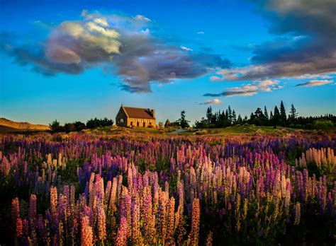 Summer Fields Wallpaper Wallpapersafari