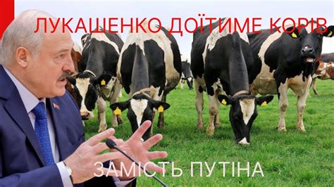 💥Лукашенко хоче доїти корів замість путіна Youtube