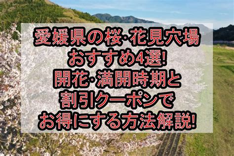 愛媛県の桜･花見穴場おすすめ4選2025開花･満開時期と割引クーポンでお得にする方法解説 旅する亜人ちゃん