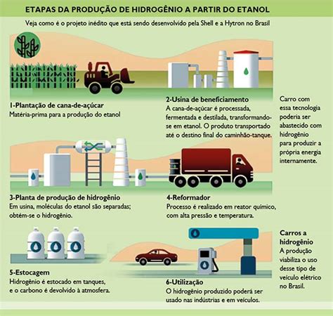 Planta De Producao De Etanol Cientistas Brasileiros Encontram Nova