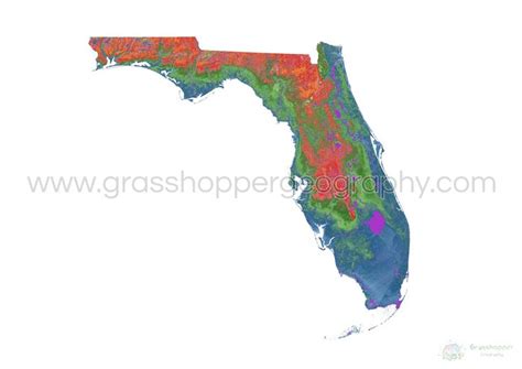 Florida Elevation Map White Fine Art Print Fine Art Prints Map