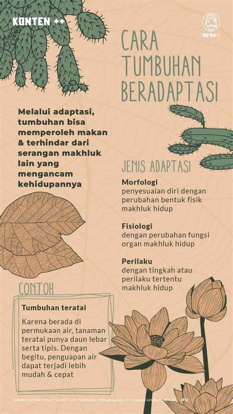 Bagaimana Adaptasi Tumbuhan Terhadap Lingkungan Air Homecare24