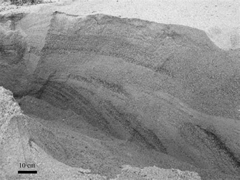 B Internal Sedimentary Structures Within The Crest Of The Beach Ridge